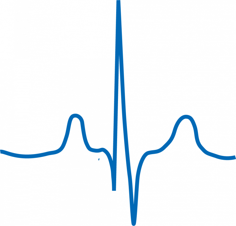 ecgTUNNEL for rodents - Technique